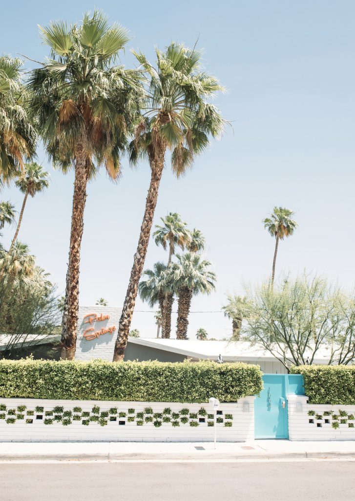 Palm Springs Blue Gate - Stella & Ivy